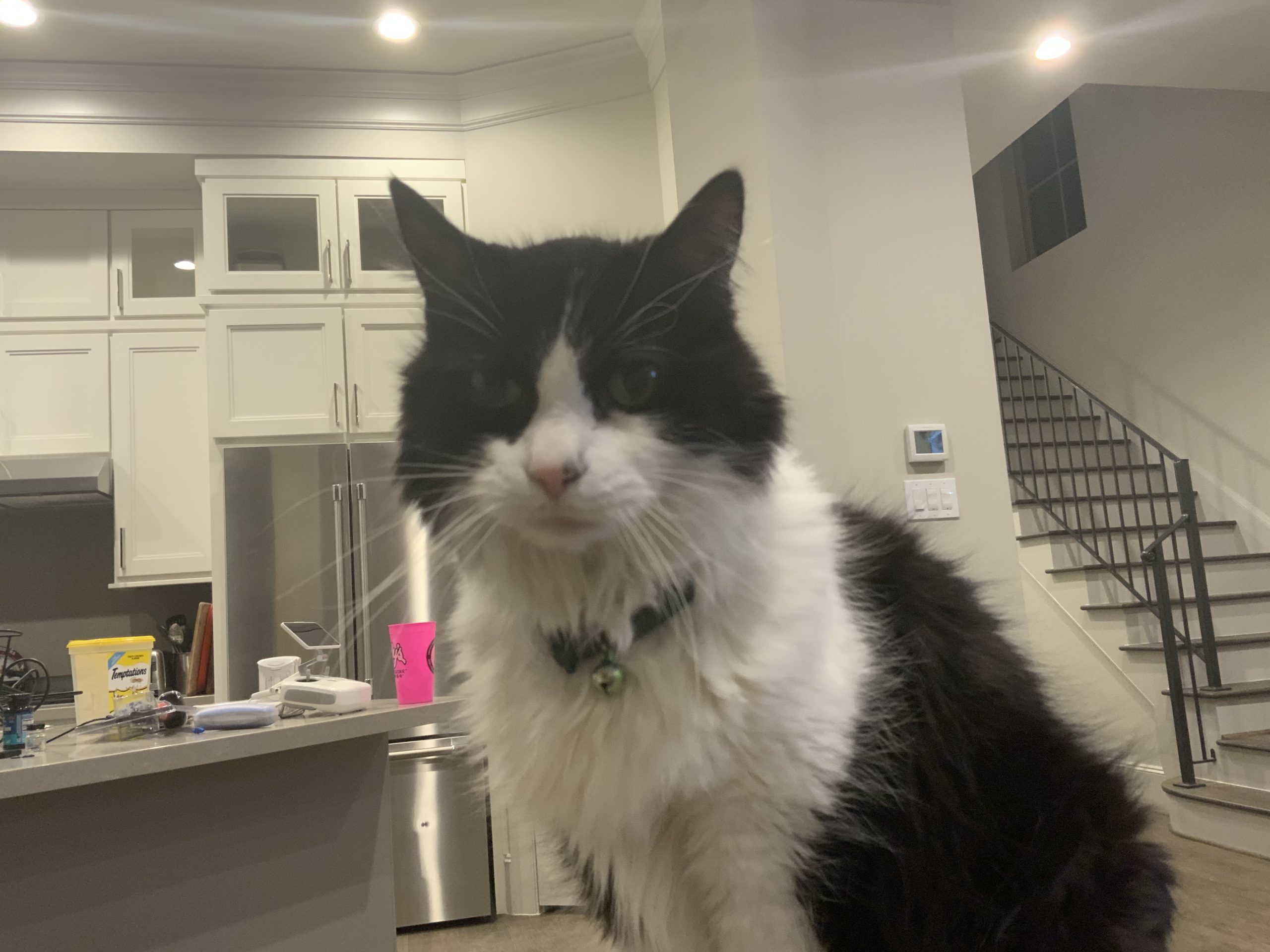 Jack aka Heavy J - Fond Memories PCC